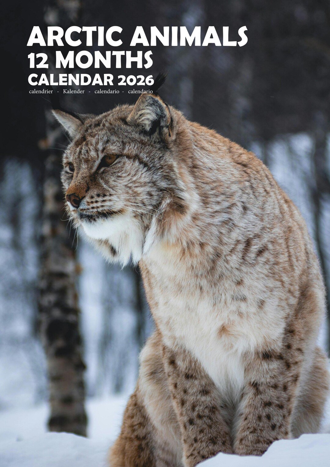 Arctic Animals 2026 A3 Wall Calendars - Etsy