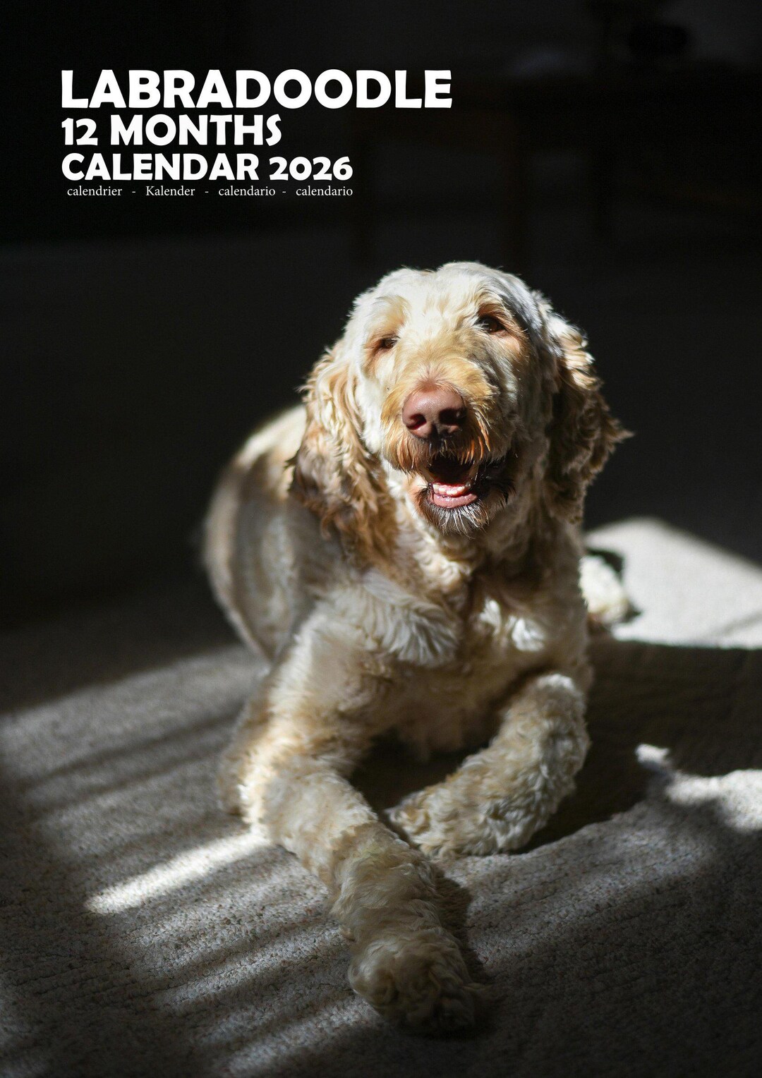 Labradoodle 2026 A3 Wall Calendars - Etsy