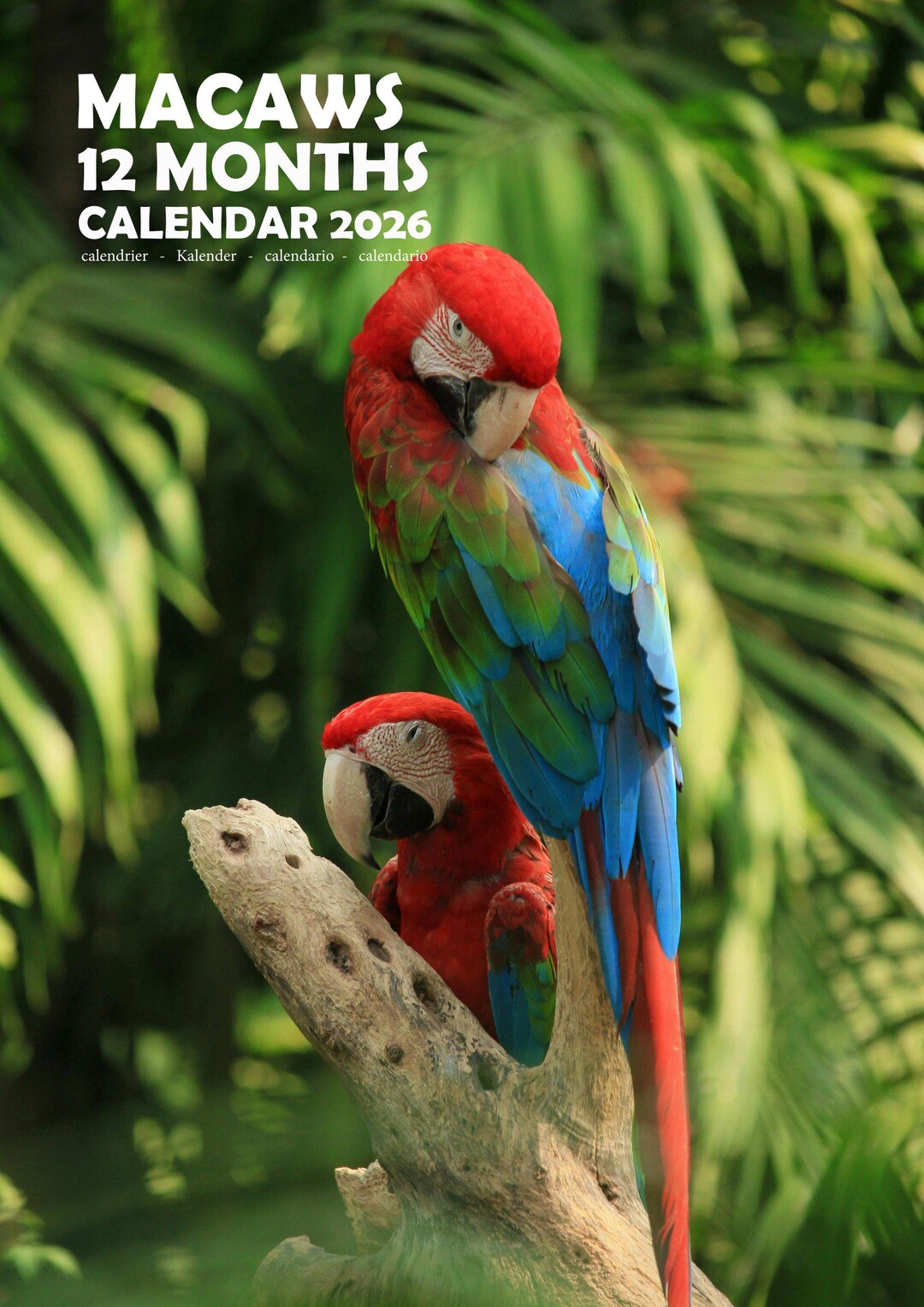 Macaws 2026 A3 Wall Calendars - Etsy