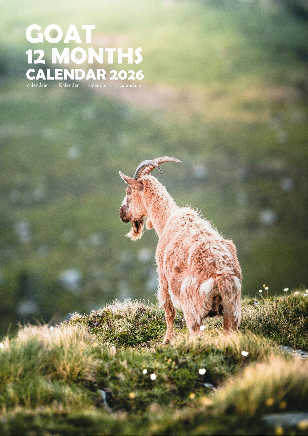 Goats 2026 A3 Wall Calendars - Etsy