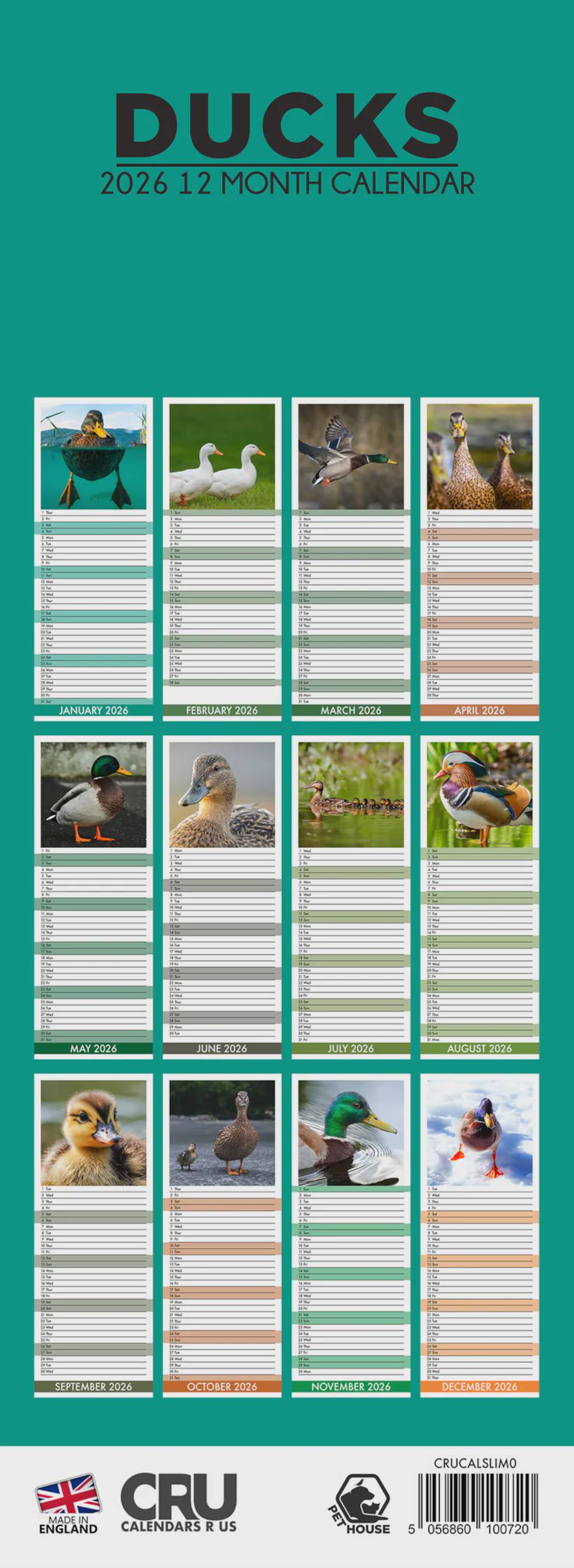 Ducks 2026 A3 Wall Calendars - Etsy