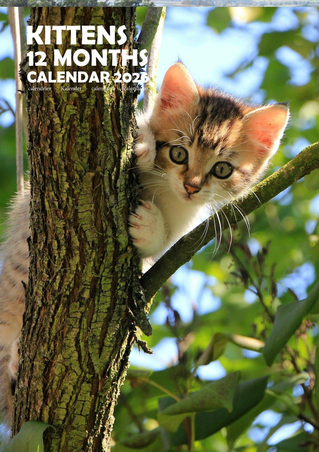 Kittens 2026 A3 Wall Calendars - Etsy Australia