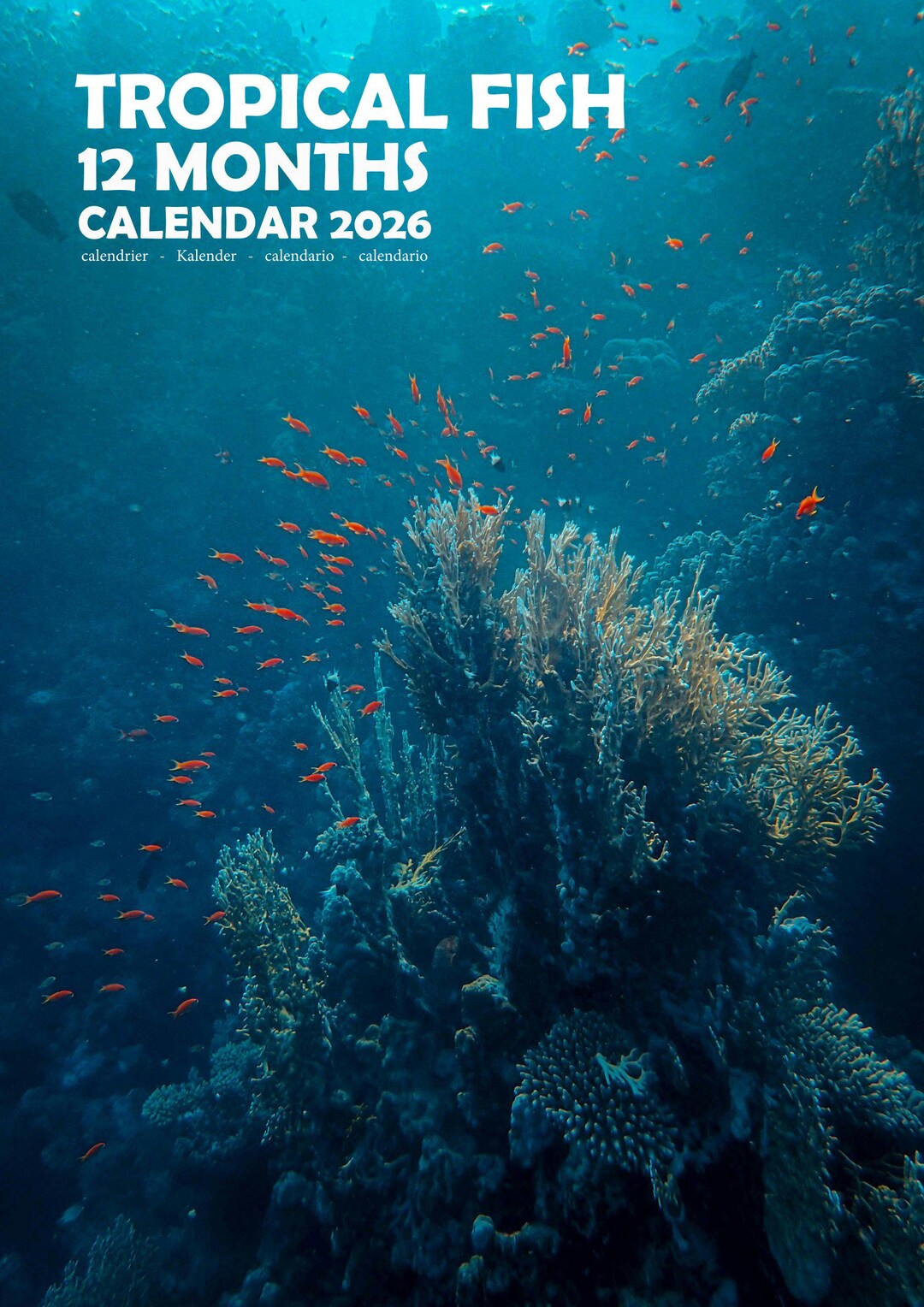 Tropical Fish 2026 A3 Wall Calendars - Etsy Canada