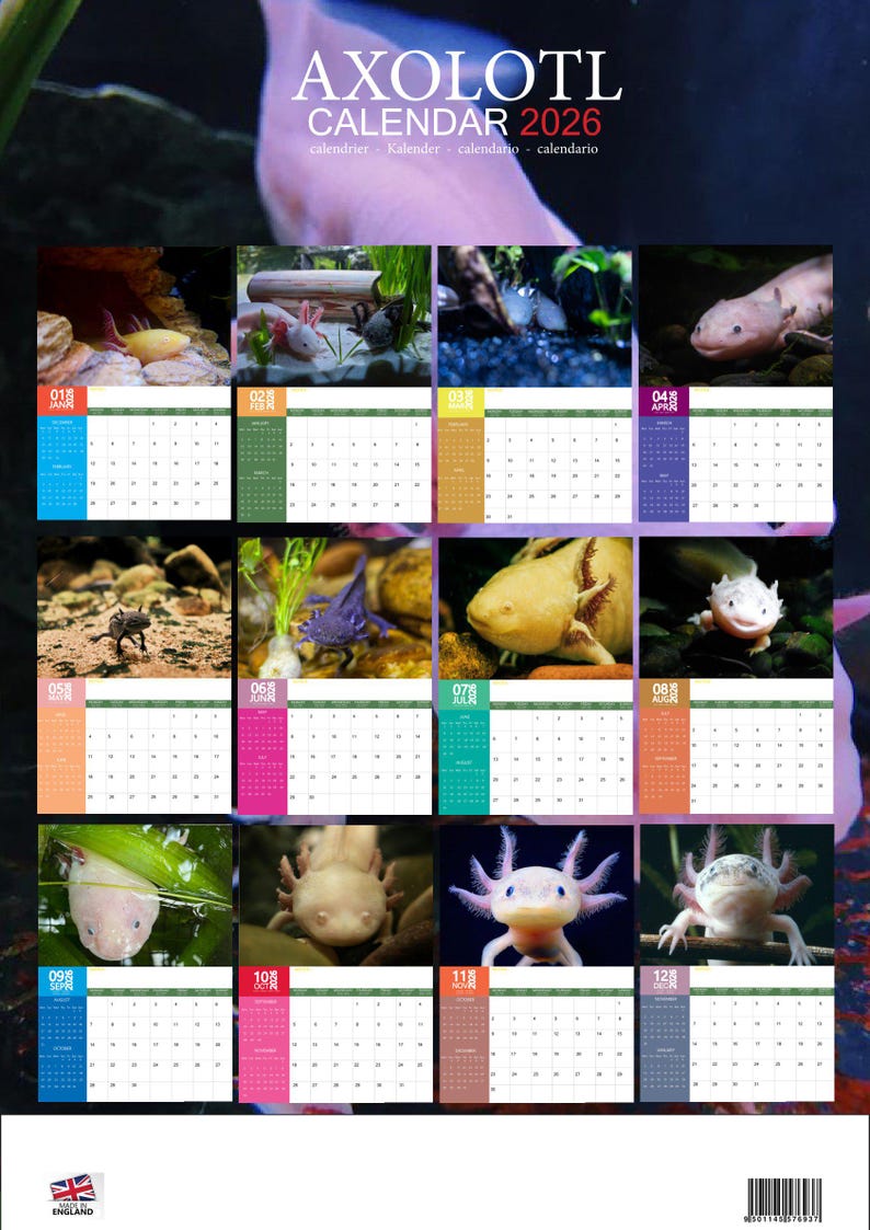 Axolotl 2026 A3 Wall Calendars - Etsy