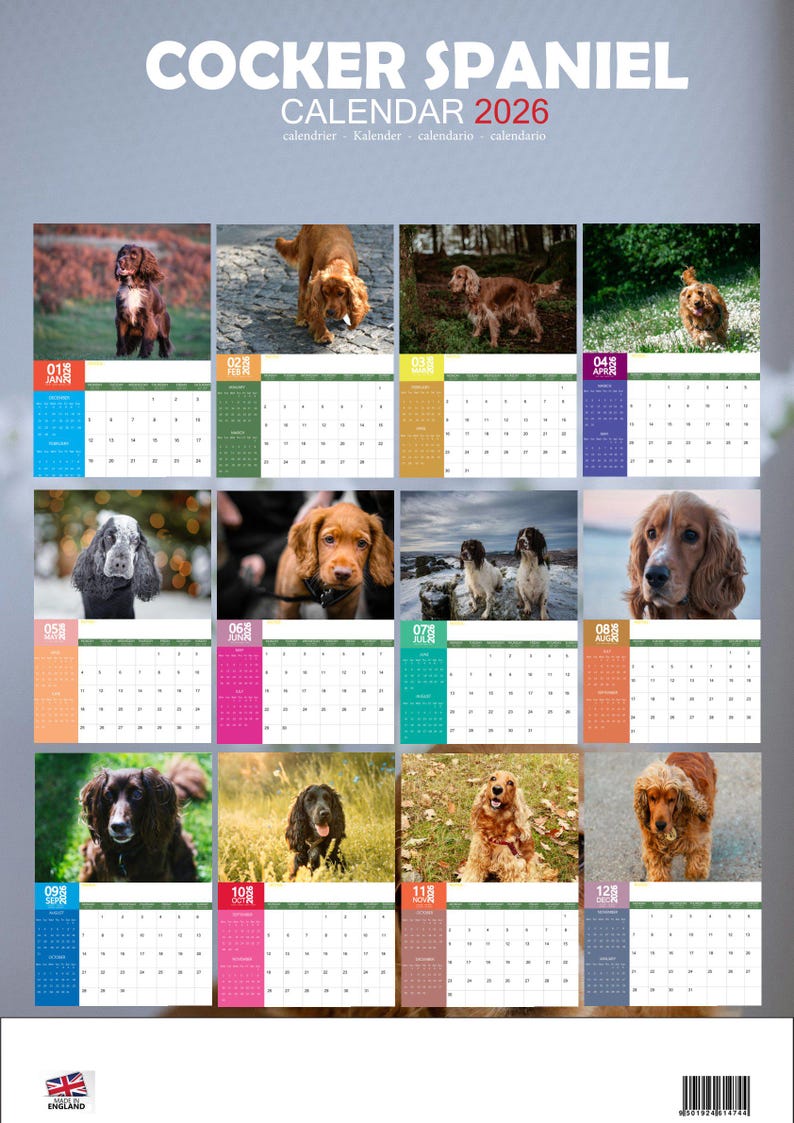 Cocker Spaniel 2026 A3 Wall Calendars - Etsy Canada