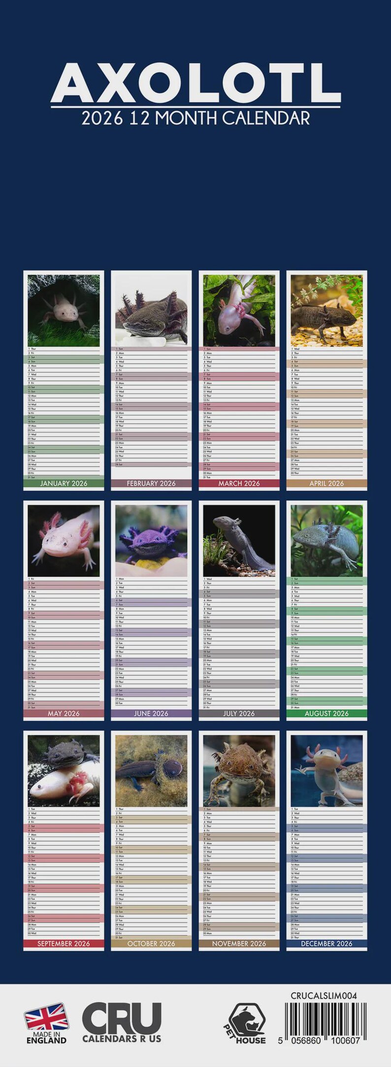 Axolotl 2026 A3 Wall Calendars - Etsy
