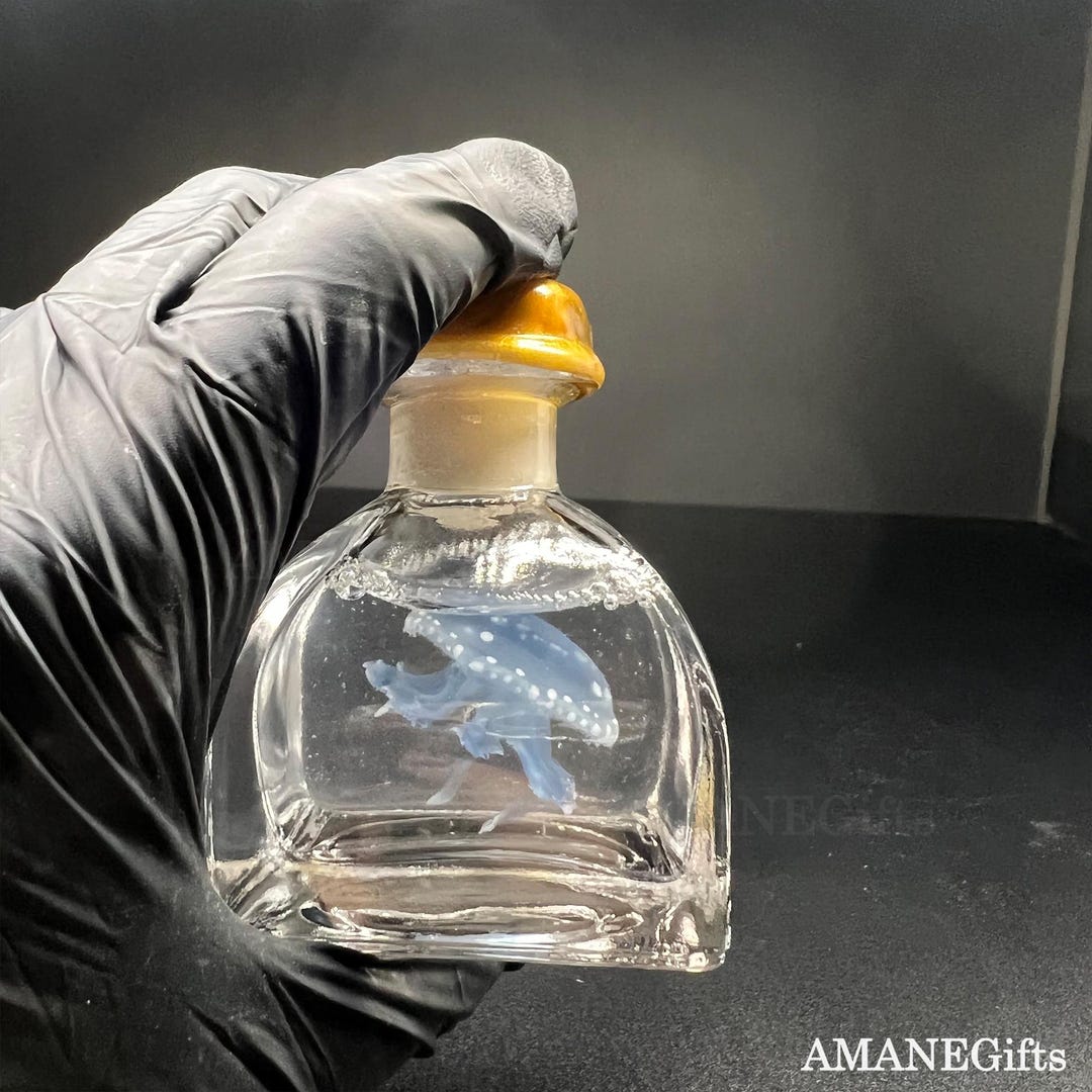 Papuan Jellyfish Specimen, Jellyfish Specimen Preserved in Glass ...