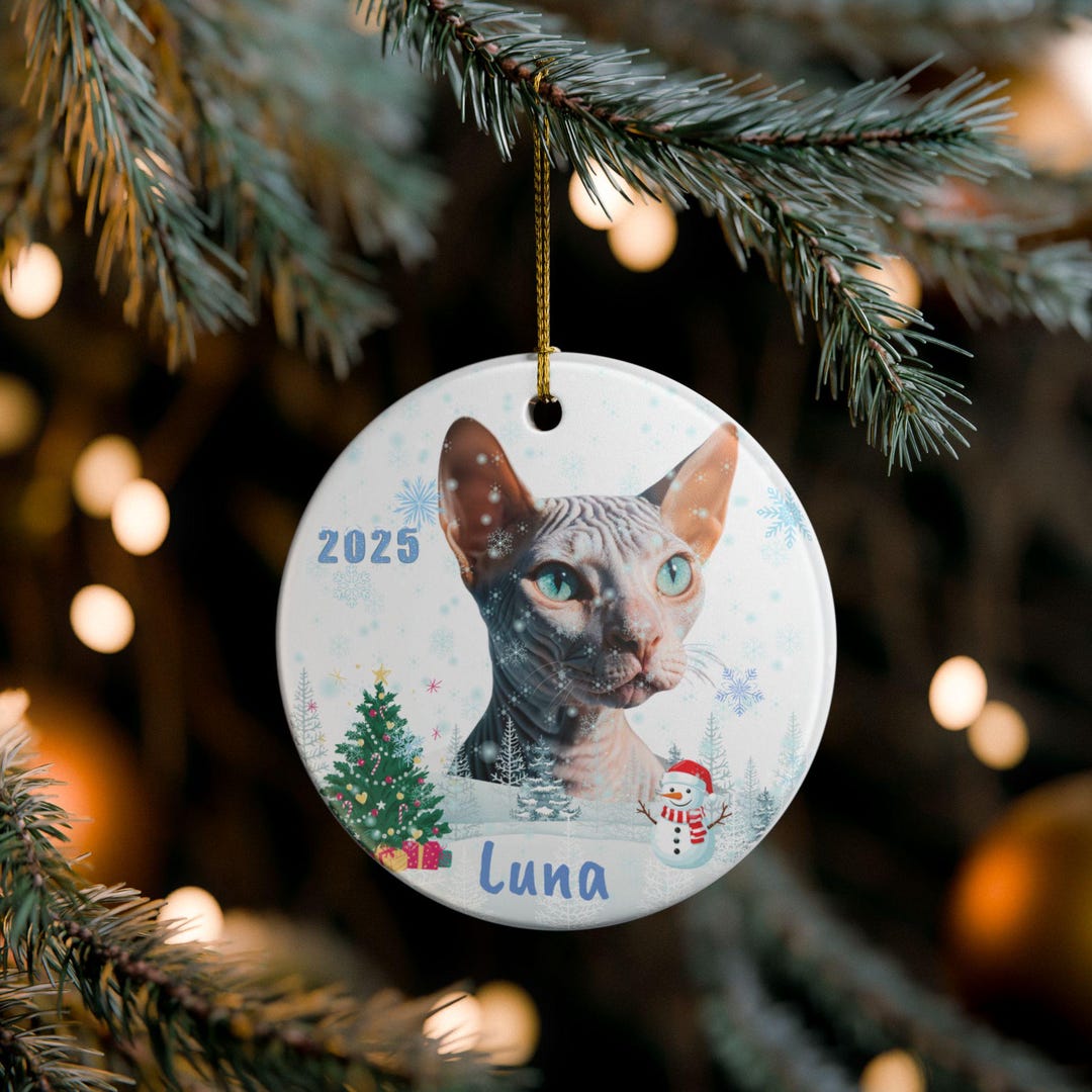 Personalized Sphynx Cat Ornament – 2025 Snow Globe Christmas Decor - Etsy