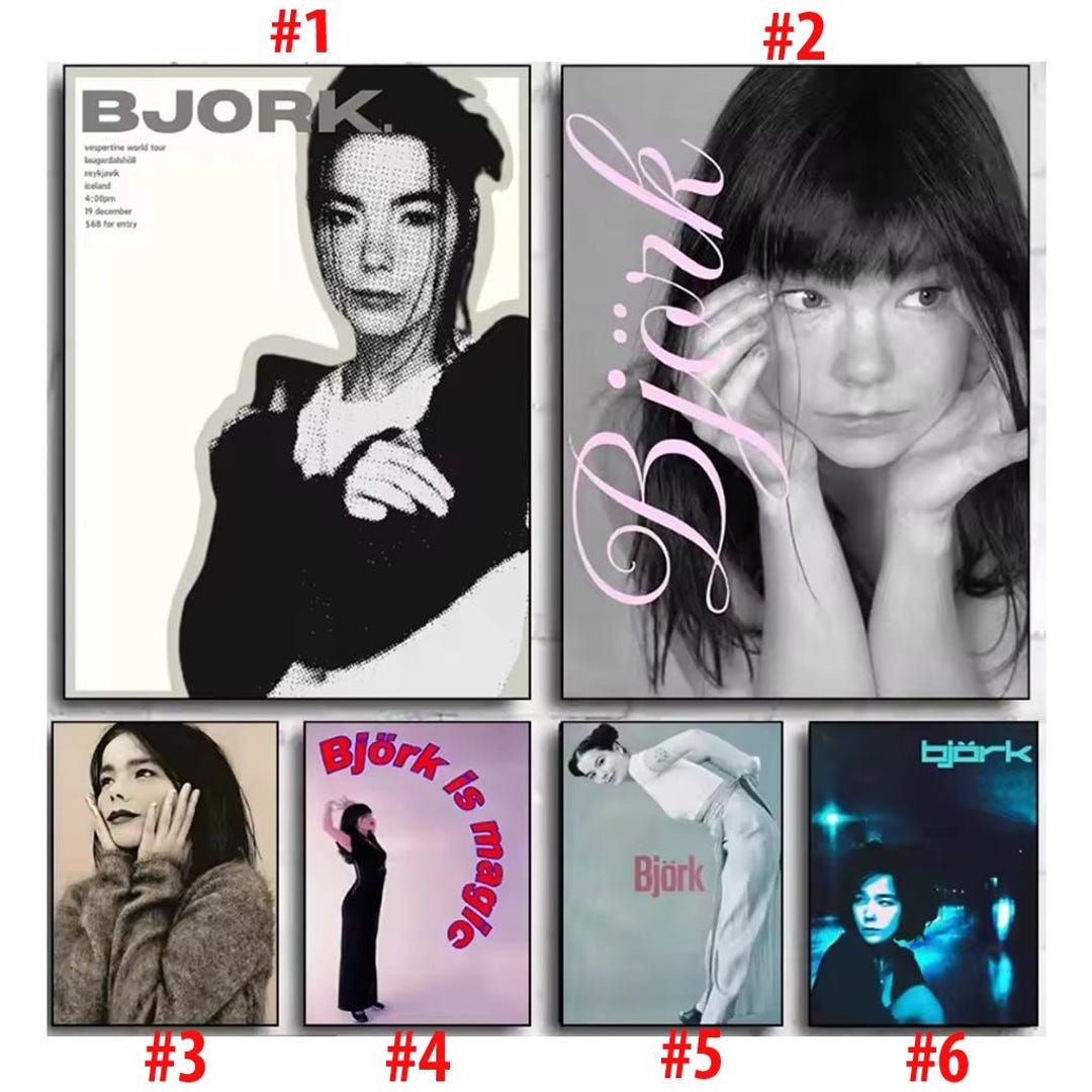 Singer Bjork Vintage Series Poster Print, Gift Poster - Etsy