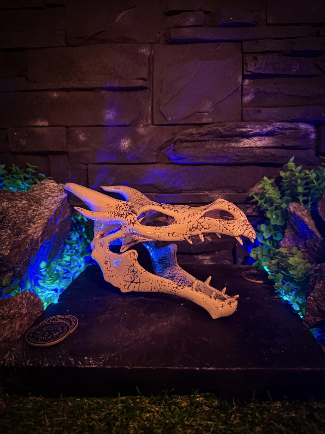 Ivory Dragon Skull, Skyrim Inspired, the Elder Scrolls Artifact, Dragon ...