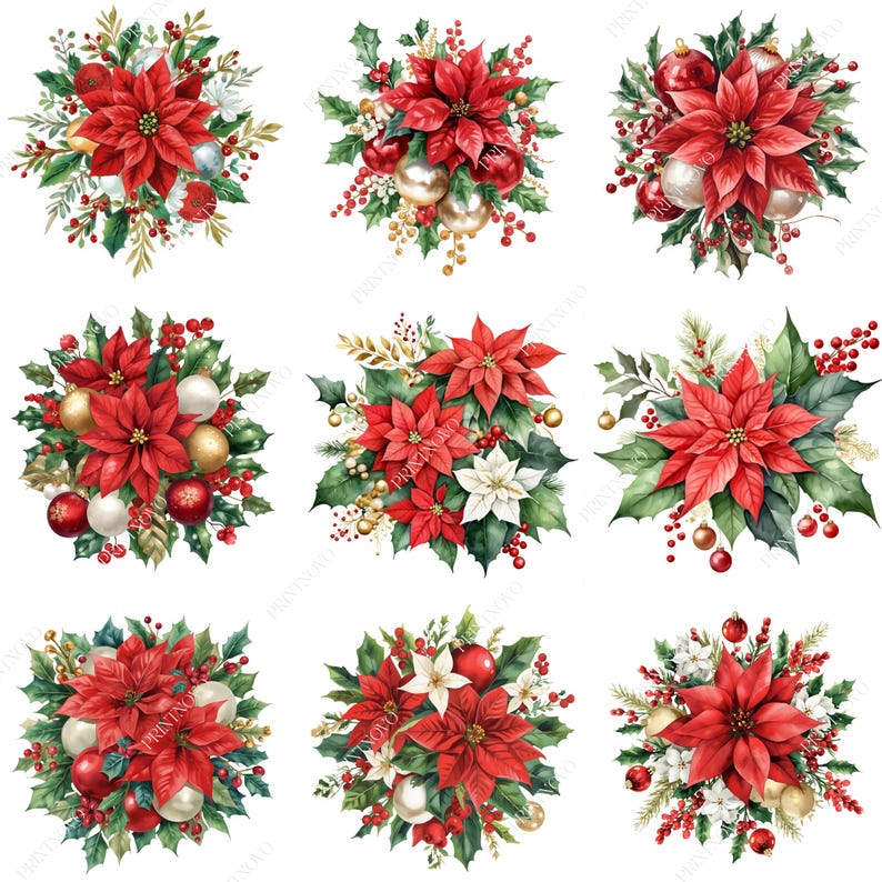 64 Watercolor Red Poinsettia Clipart, Christmas Flower Illustration - Etsy