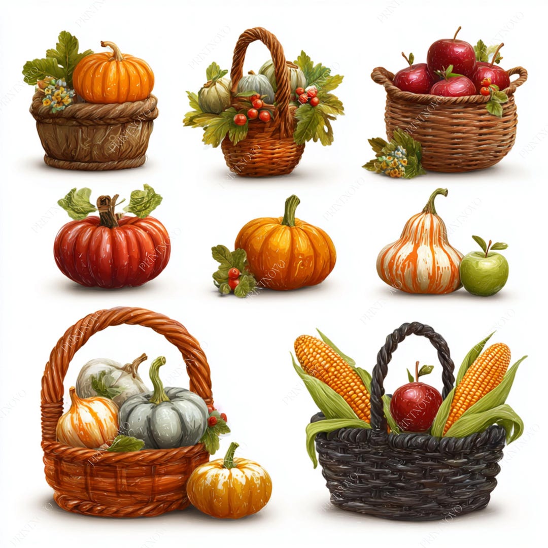 48 Pumpkins and Harvest Clipart JPG - Etsy