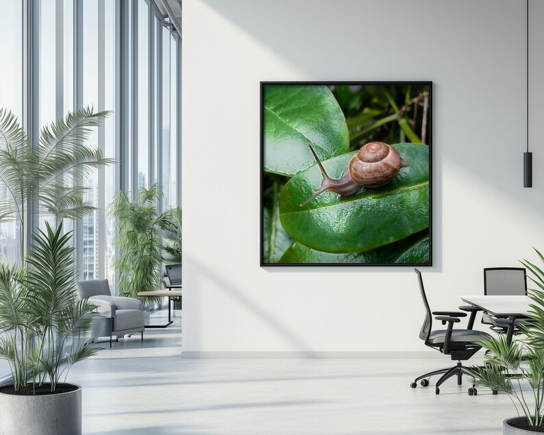 Brown Spiral Shell Snail on Green Leaf, Nature Lens Macro Photography ...