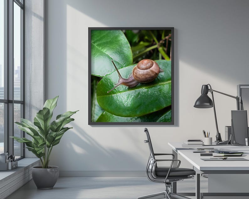 Brown Spiral Shell Snail on Green Leaf, Nature Lens Macro Photography ...