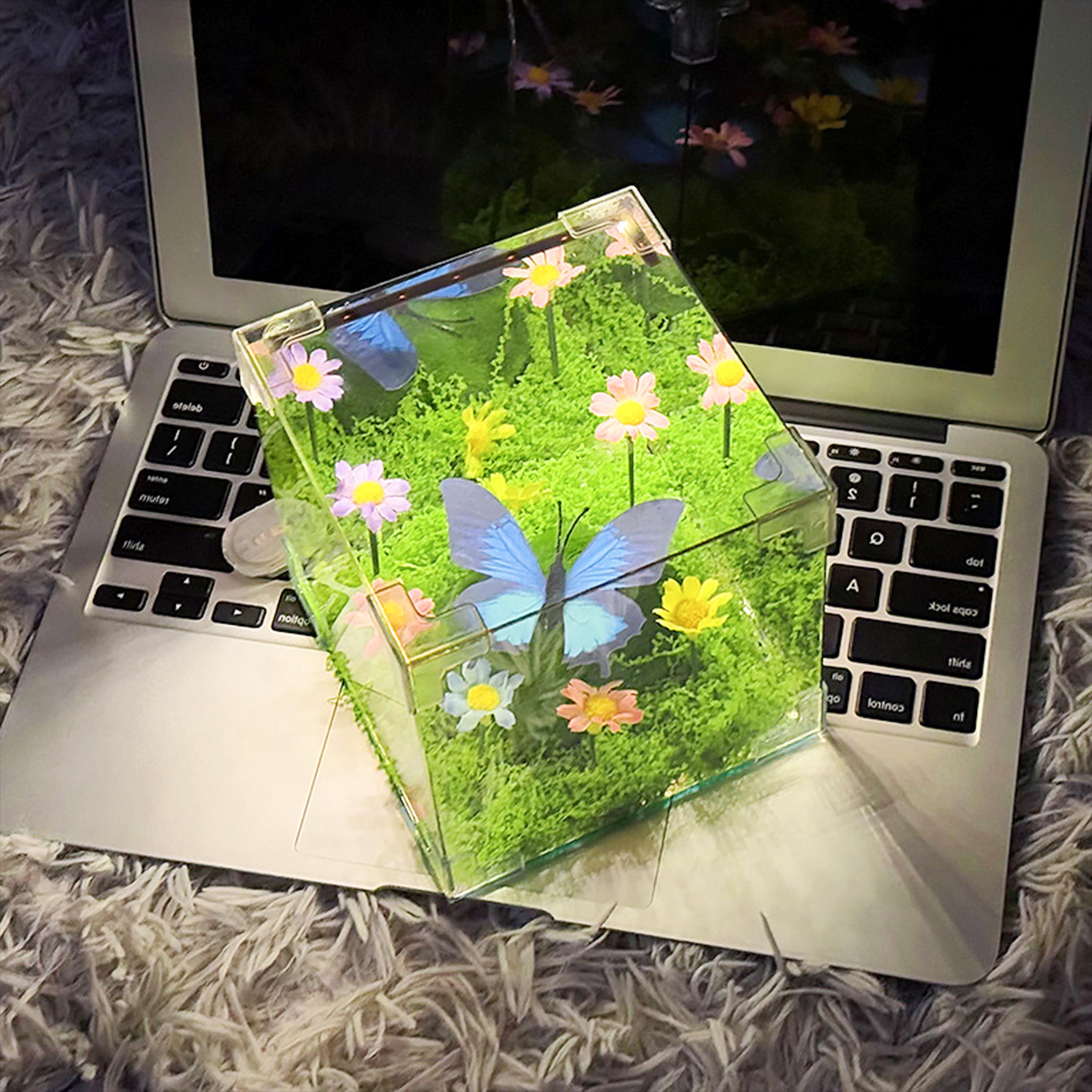 DIY Butterfly Light Box, Enchanted Forest Mirror, Handmade Fairy Lamp ...