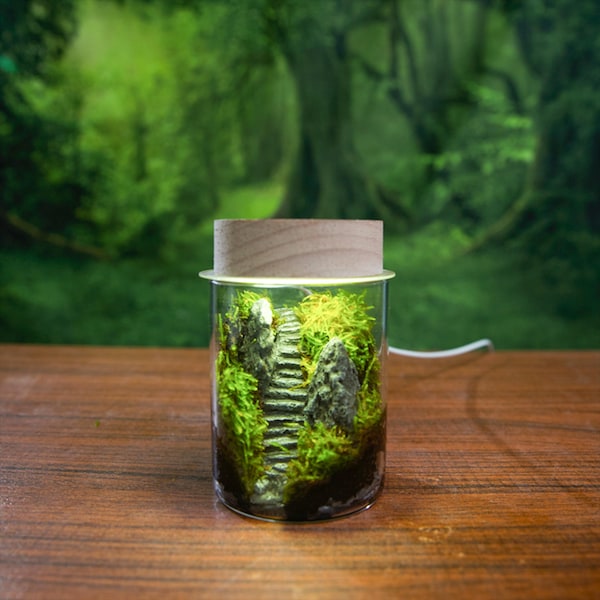 Miniature Moss Lamp - Etsy UK