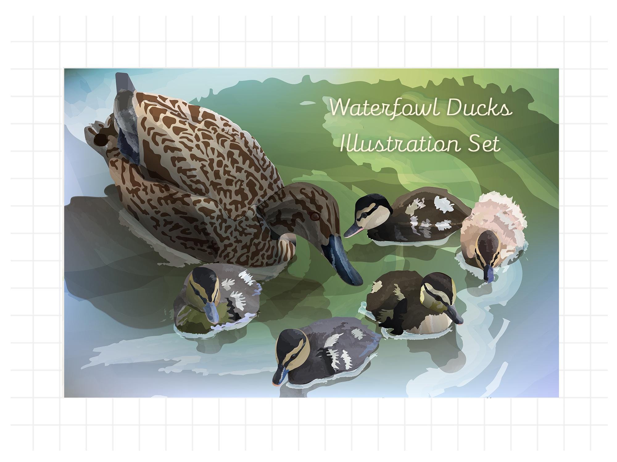 Wild Ducks Clipart | Duck Family PNG | Watercolor Birds Illustrations ...