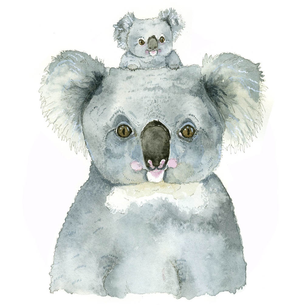 Illustration - Pen and Watercolour, Peekaboo Koala - Limited Edition ...