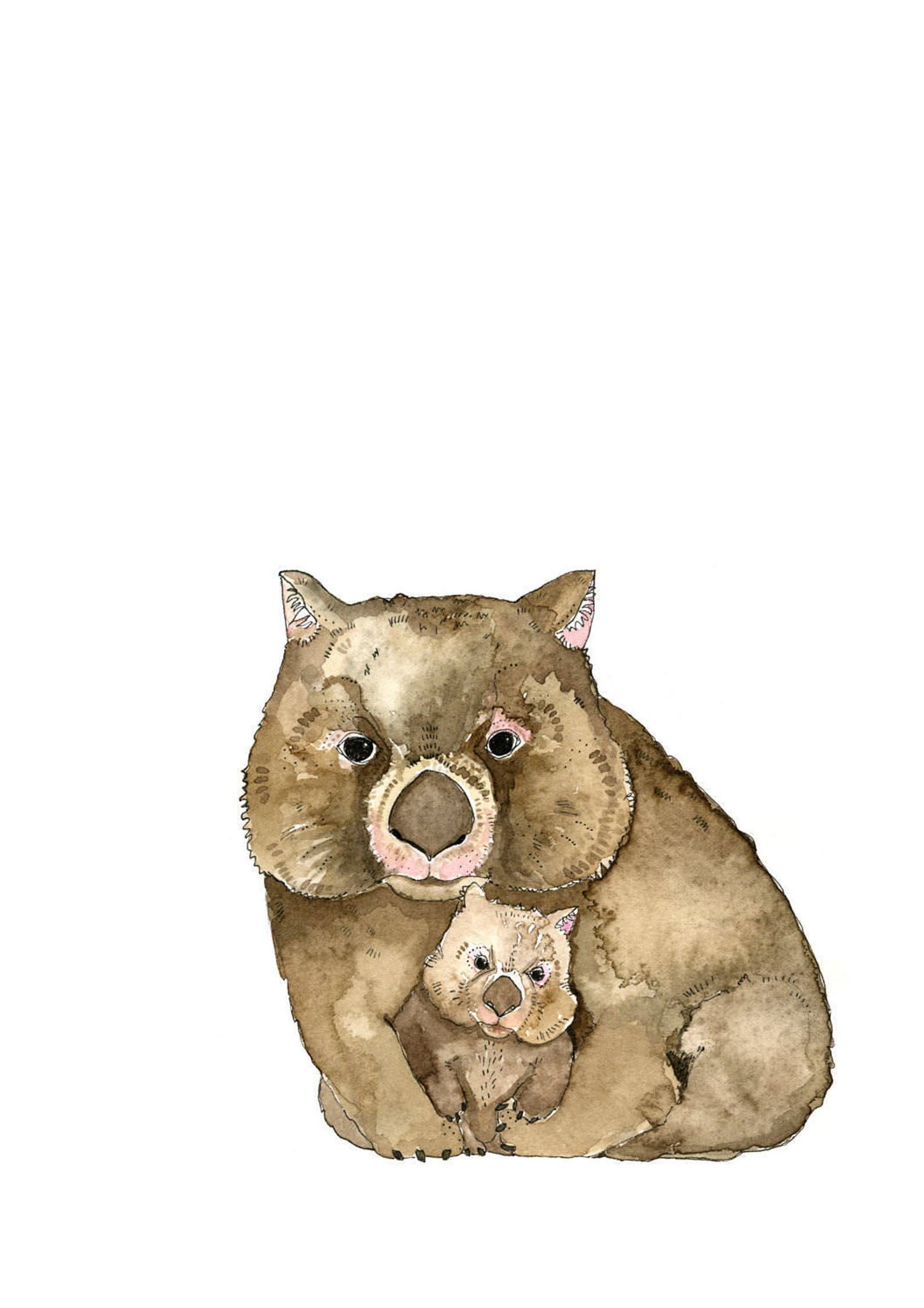 Illustration Pen and Watercolour, Wombat Love Limited Edition Print by ...