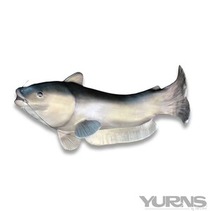 Catfish Trophy Cremation Urn Artistic Ceramic Fish Sculpture for ...