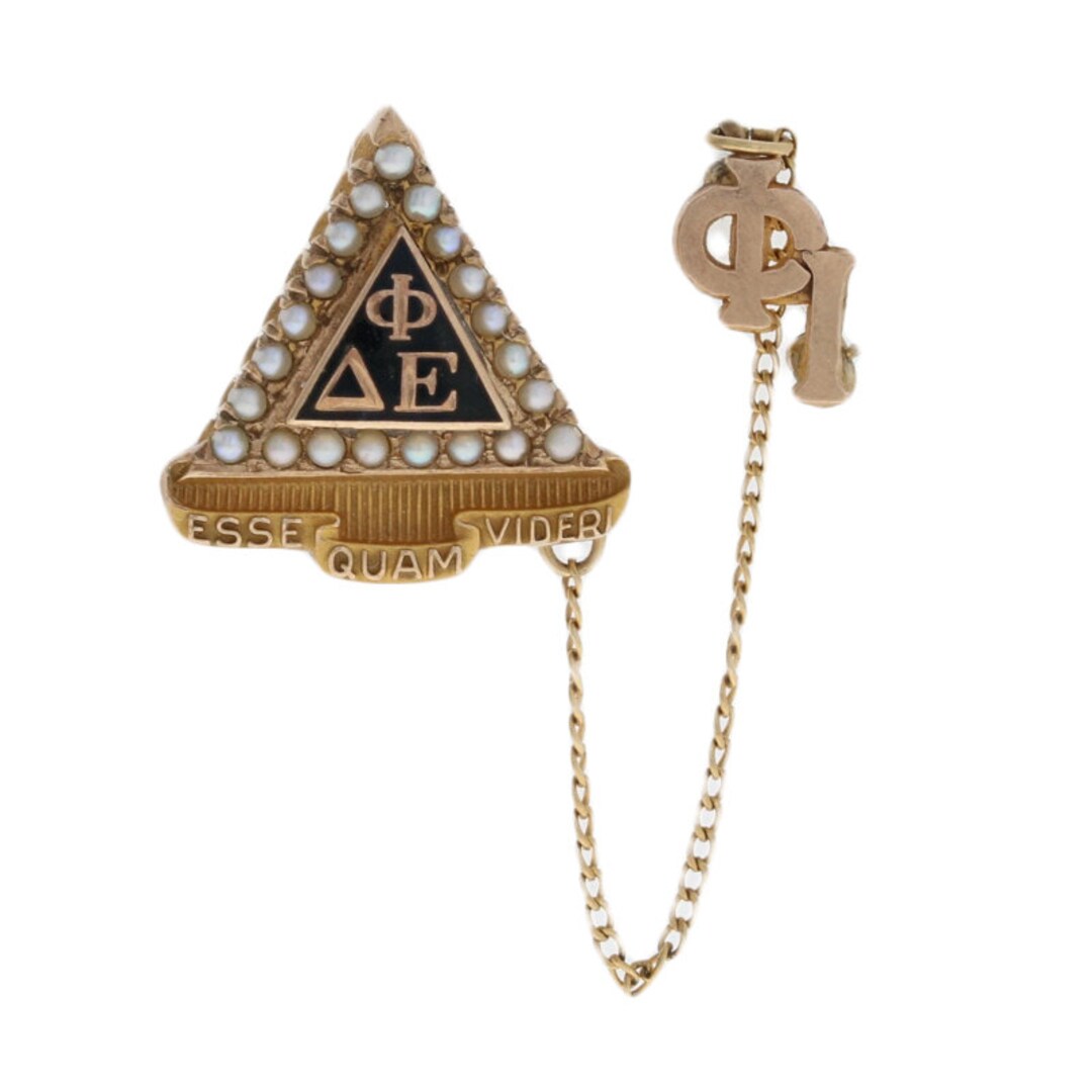 Delta Phi Epsilon Badge 10k Yellow Gold Seed Pearls & Enamel - Etsy