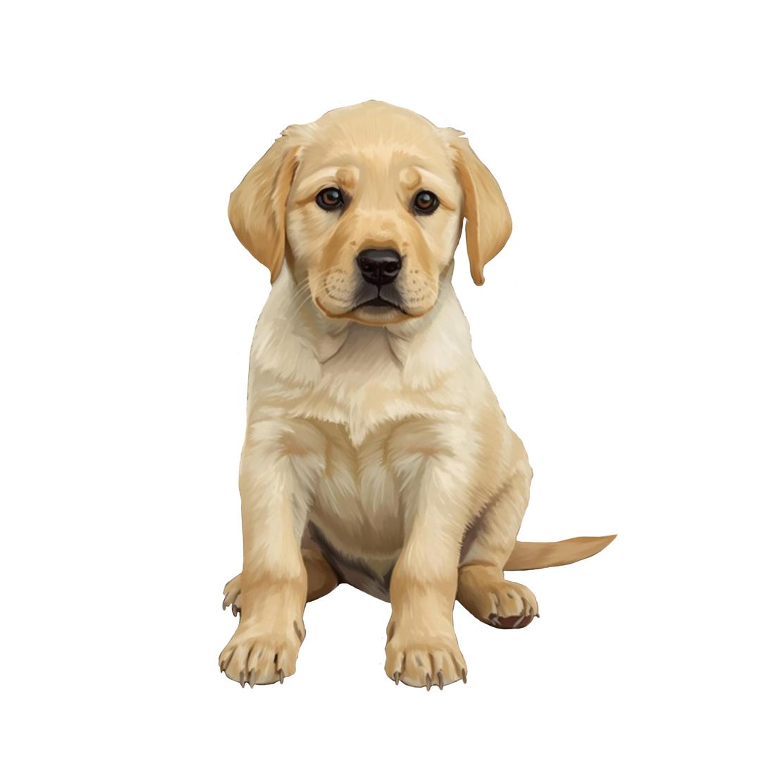 Yellow Lab Puppy Digital File - Etsy