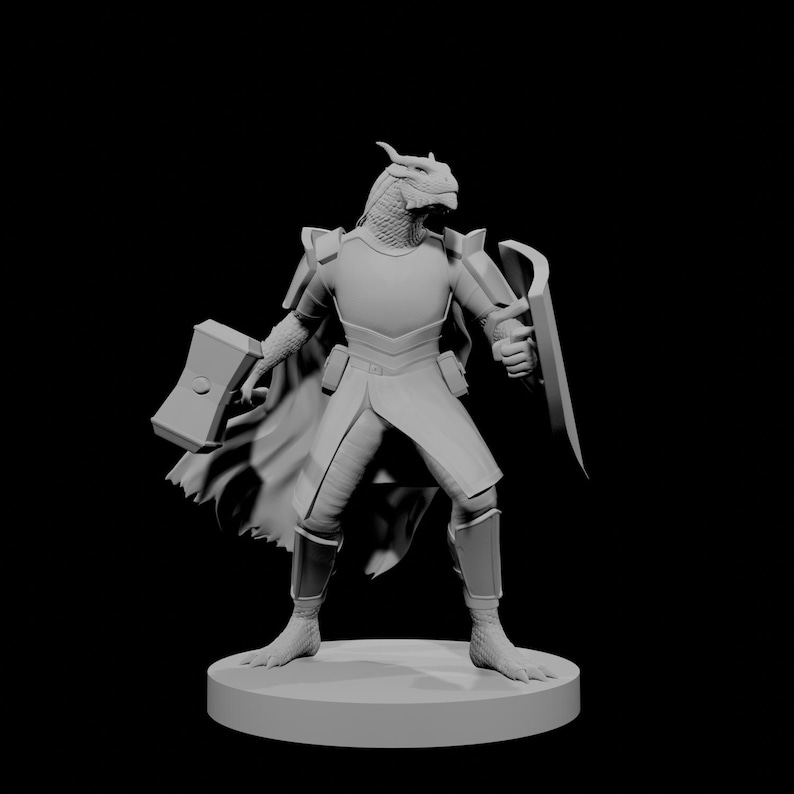 Dragonborn Paladin Miniature: Warhammer and Shield, Unpainted Resin - Etsy