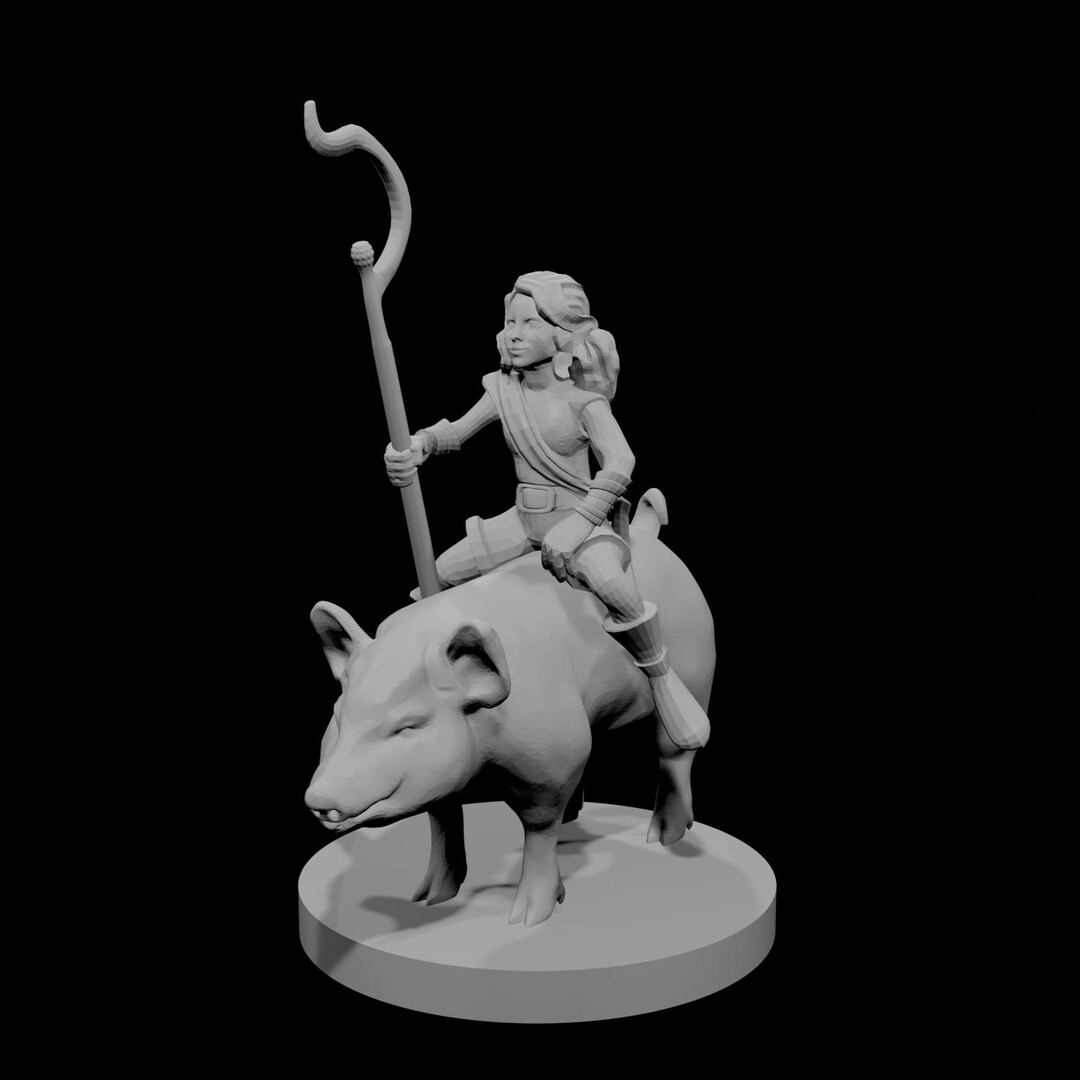 RPG Miniature: Halfling Druid on Pig - Detailed 3D Printed Resin - Etsy
