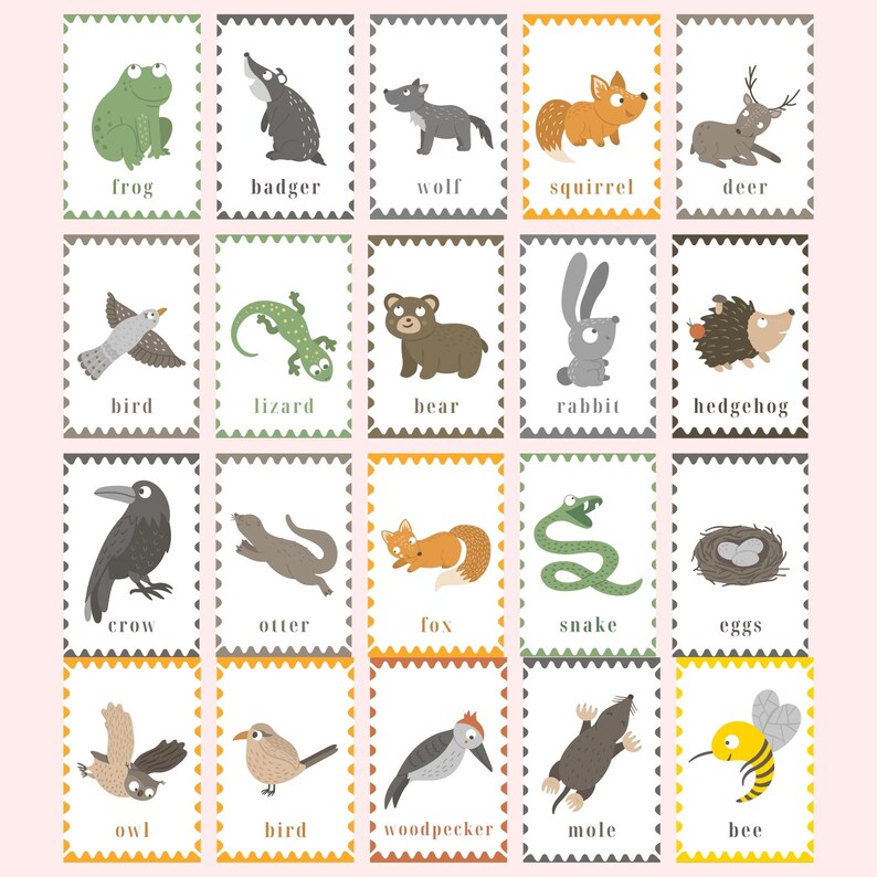 20 Forest Animals Flashcards for Kids | Woodland Animal Learning Cards ...