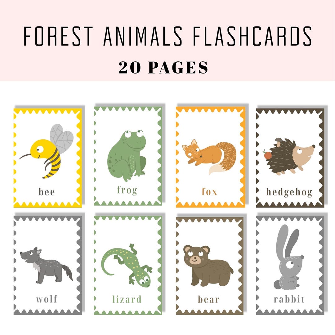 20 Forest Animals Flashcards for Kids | Woodland Animal Learning Cards ...