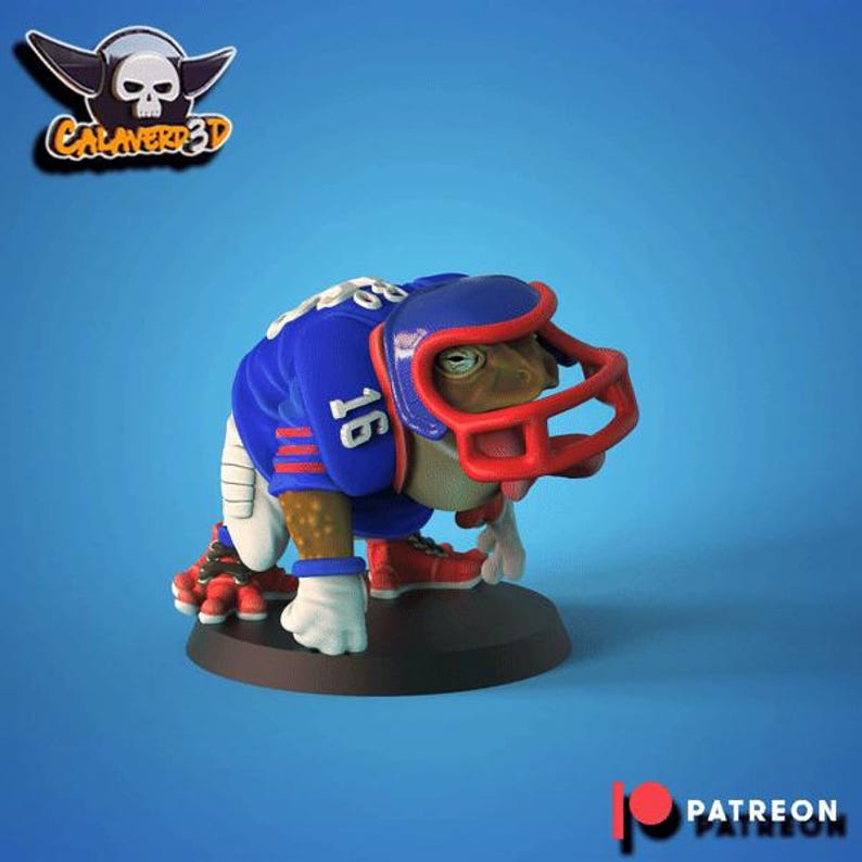 Frog Football League Fantasy Football Team / Frog / Frog Team / Fantasy ...