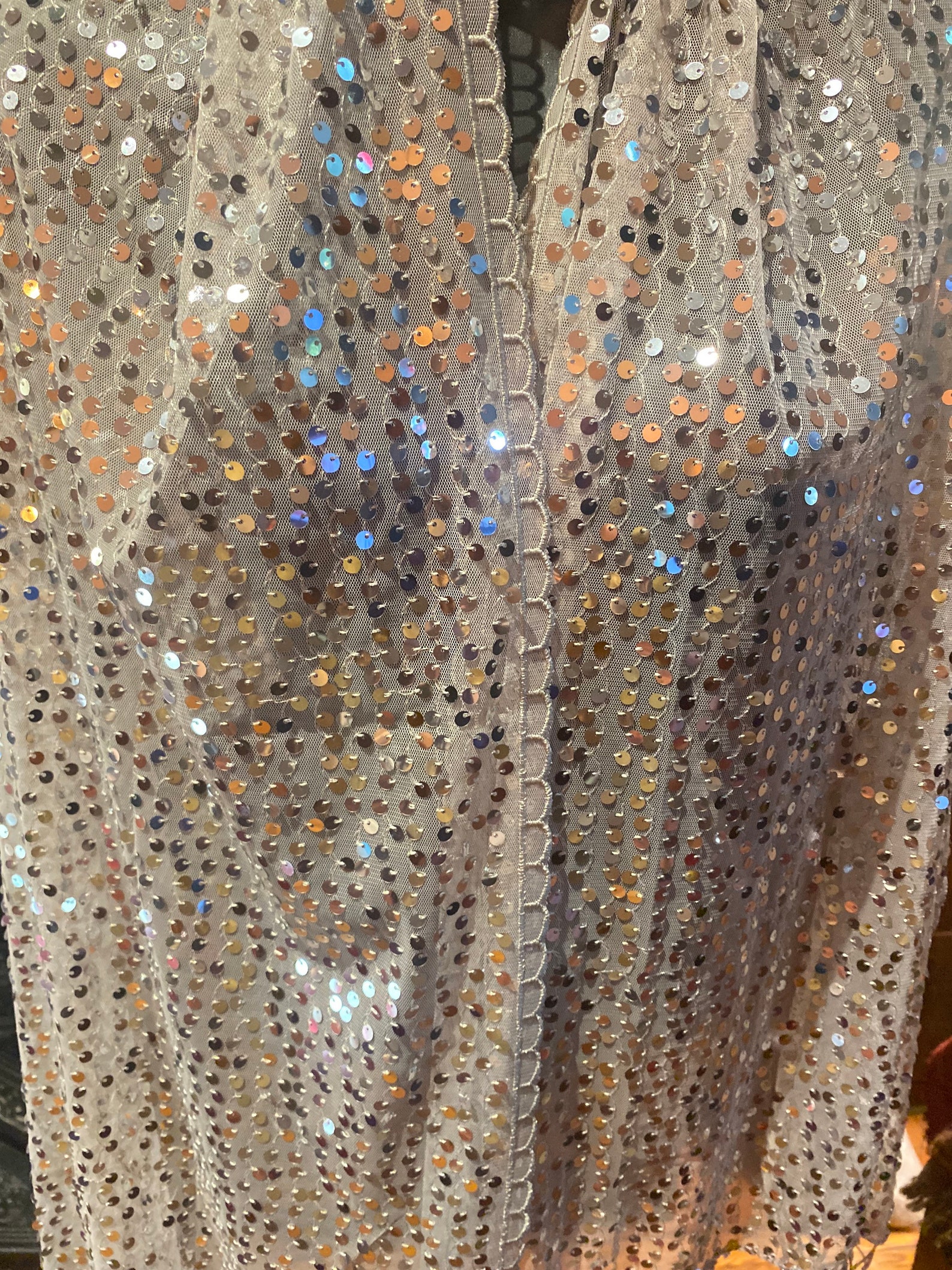 Vintage Styled Sheer Silver Sequined Embroidered Wrap Shawl - Etsy