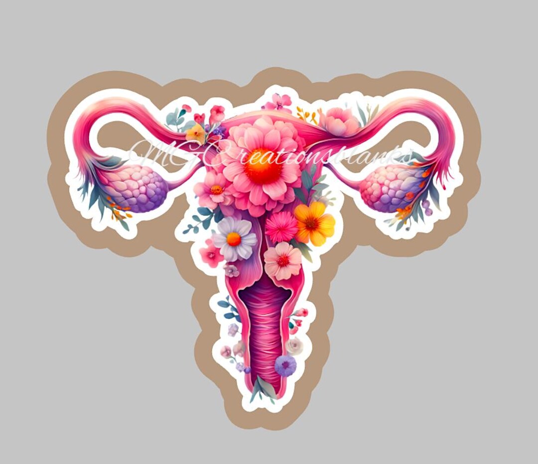 Uterus Acrylic Blanks for Badge Reels & Vinyl Decal, Gynecologist ...