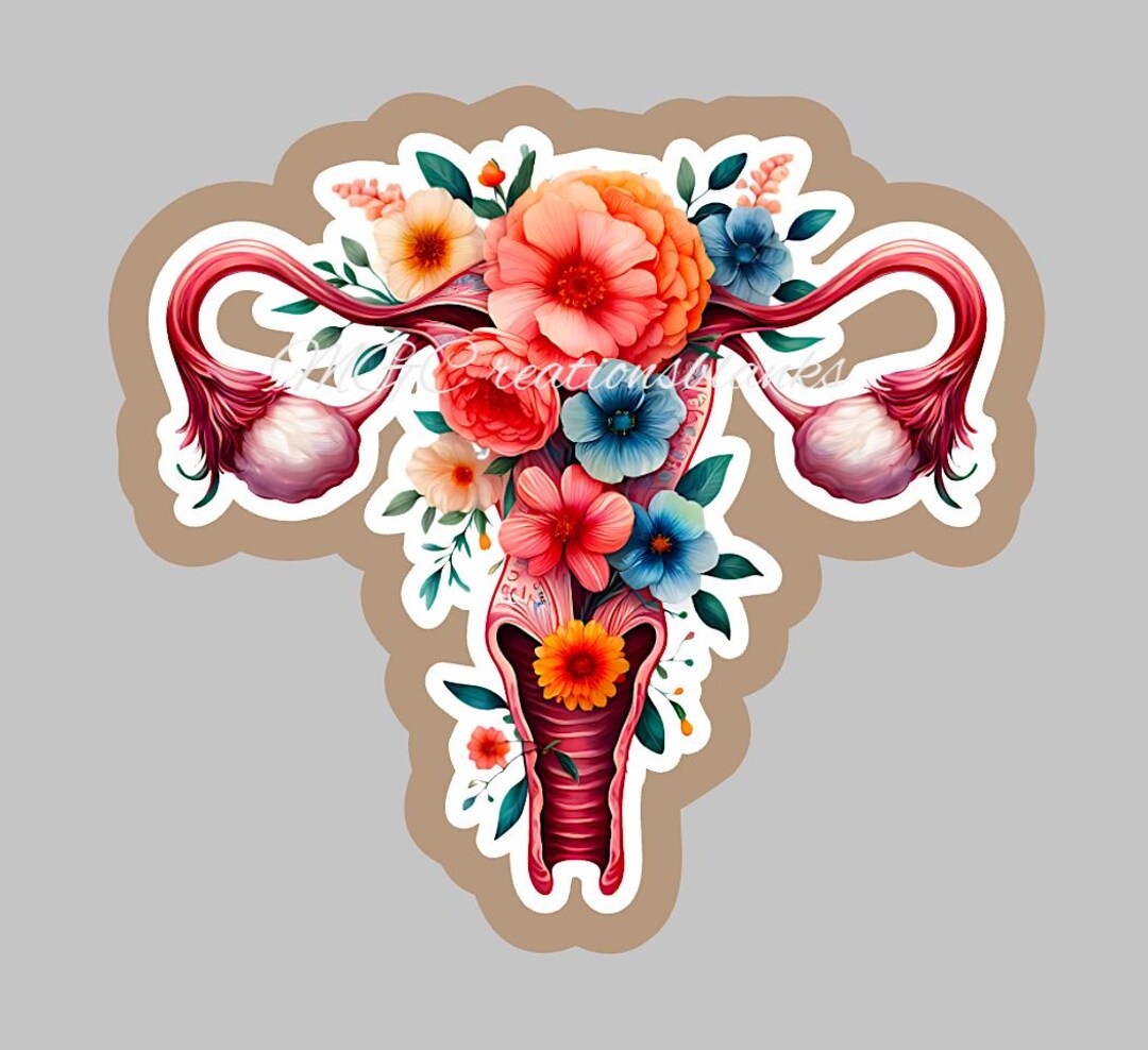 Uterus Acrylic Blanks for Badge Reels & Vinyl Decal, Gynecologist ...