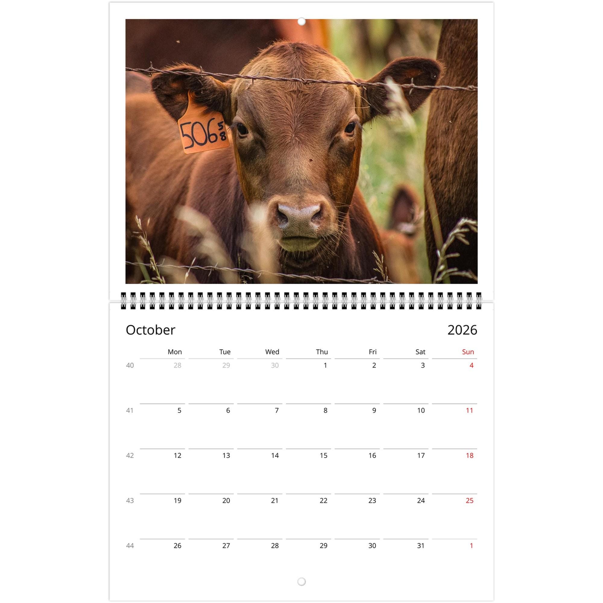 Cow Country 2026 Calendar (US & CA) - Etsy