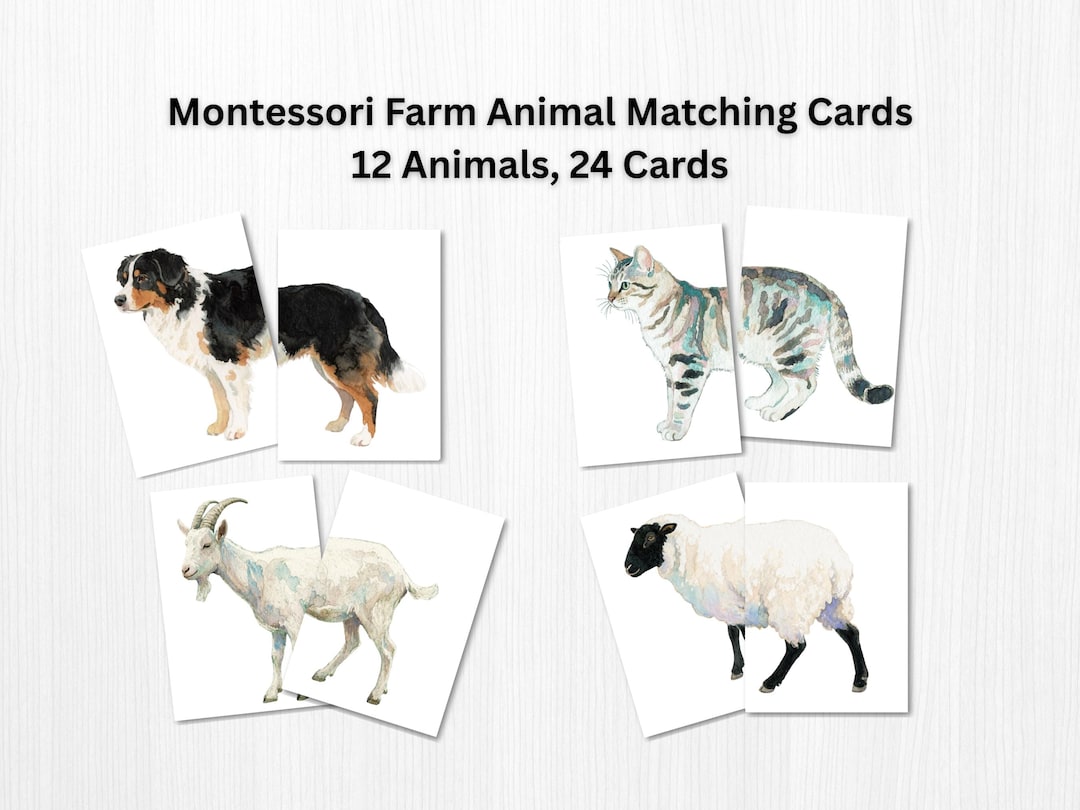 Montessori Farm Animal Matching Cards: 12 Animals Split Into Halves (A4 ...