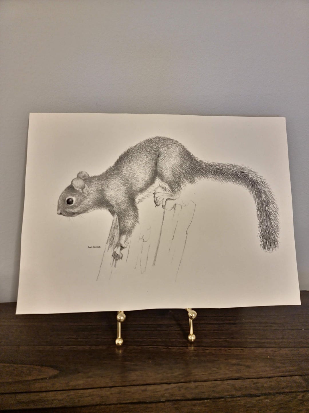 Dessin au crayon d'écureuil : oeuvre d'art animalier graphite 15 x 11 ...