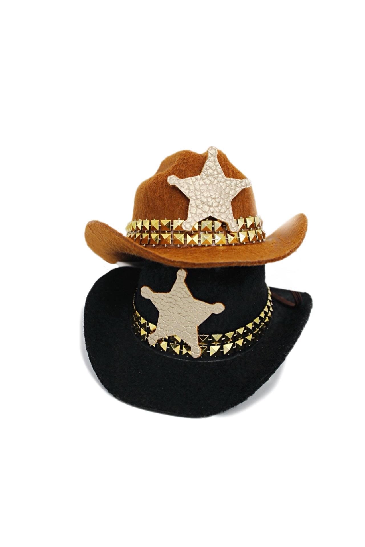 Mini Cowboy Hat | Baby First Rodeo, Pet Costume - Etsy