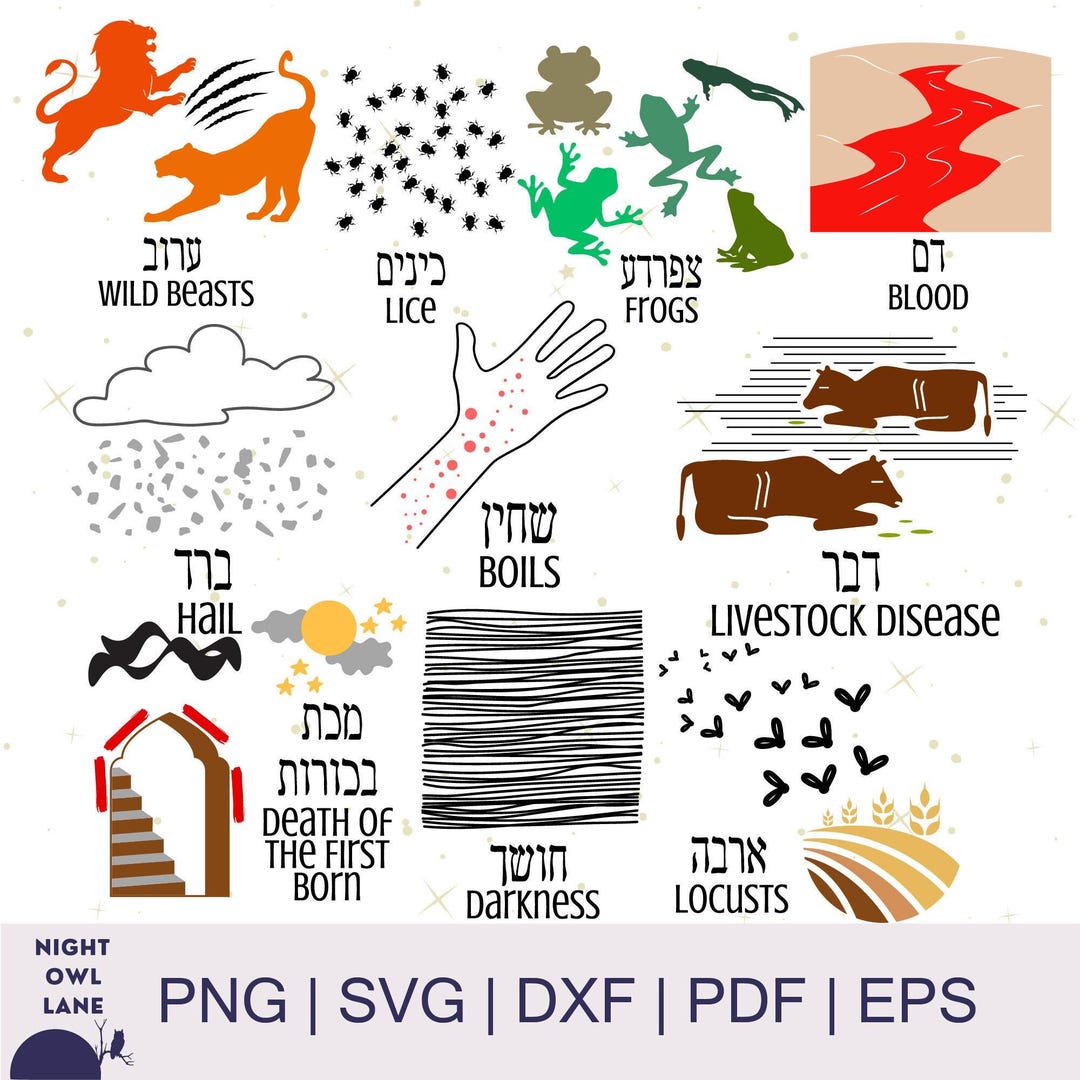 Ten Plagues Passover Svgs - Hebrew and English Seder Designs - Etsy