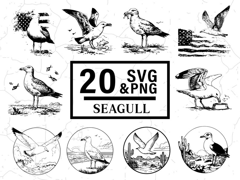 Seagull SVG Bundle, Beach Bird Clipart, Flying Silhouette PNG, Coastal ...