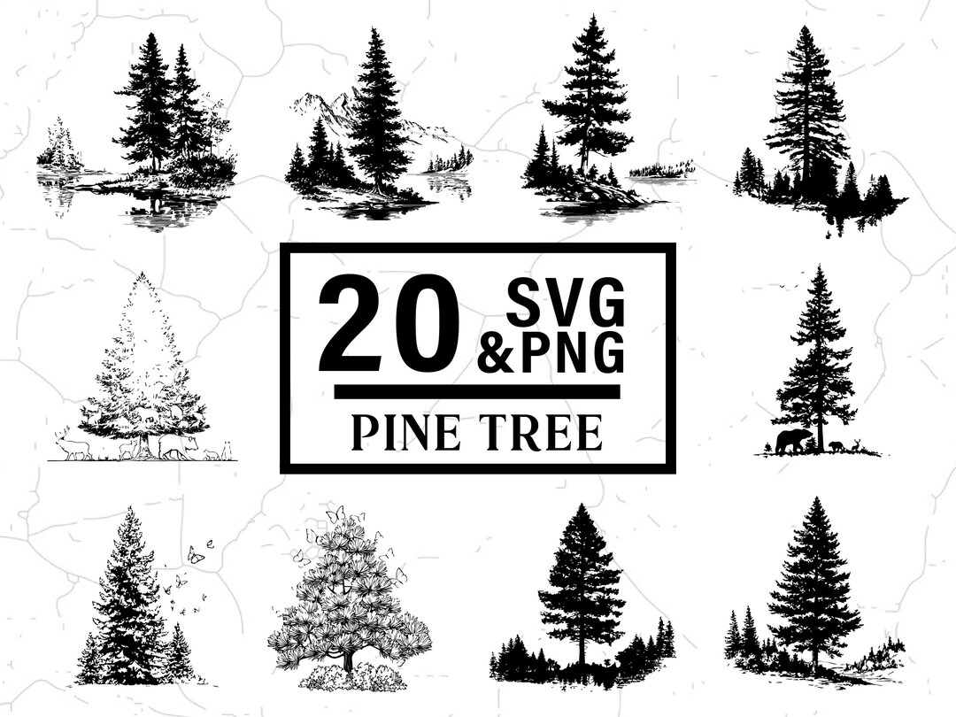 Pine Tree SVG PNG Bundle, Evergreen Pine Forest Clipart, Cricut Cut ...