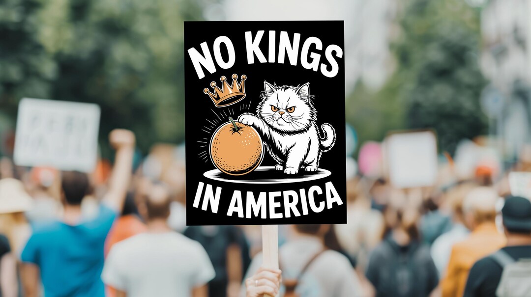 No Kings Day Protest, Orange King, Cat Lady Protest Sign - Etsy