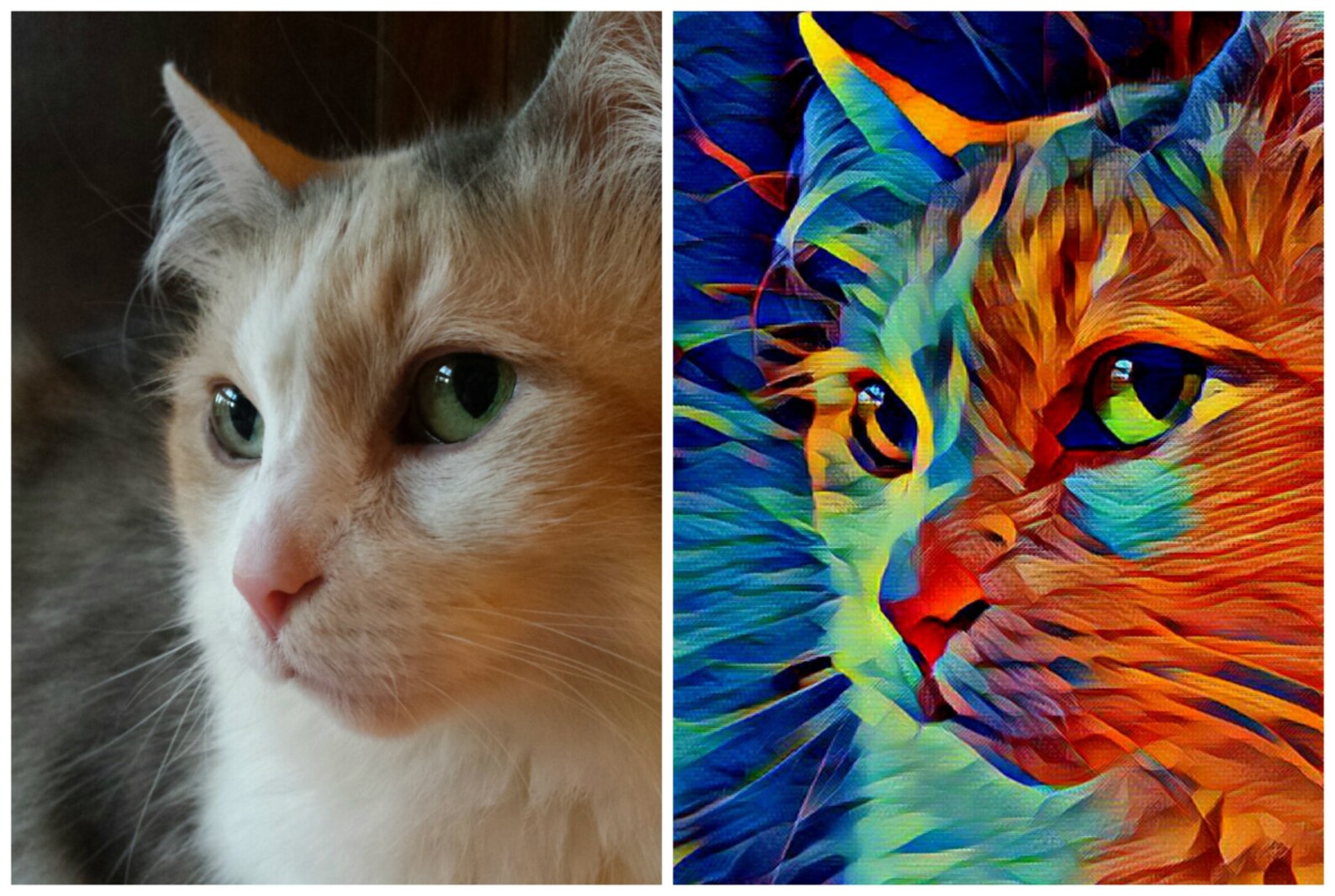 Personalized Abstract Pet Matted Picture - Etsy