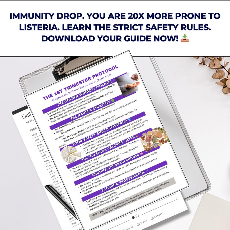 1st Trimester Pregnancy Food List PDF | Pregnancy Diet Guide | Morning ...