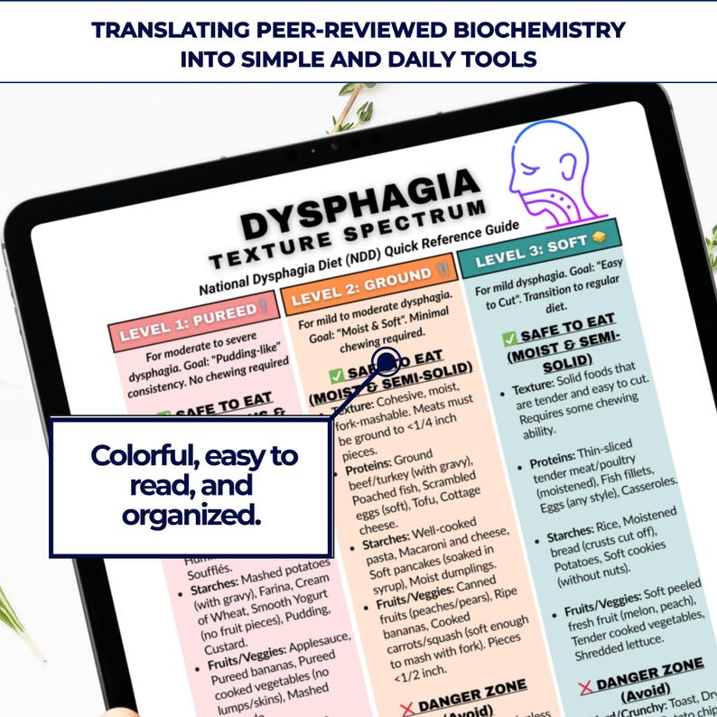 Dysphagie Texture Guide und IDDSI Levels Chart | Pürierte, Gehackte ...