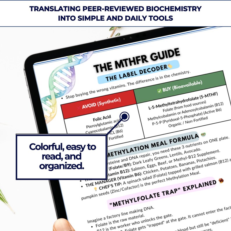 MTHFR Diet & Methylation Food List PDF | Low Folic Acid Nutrition Guide ...