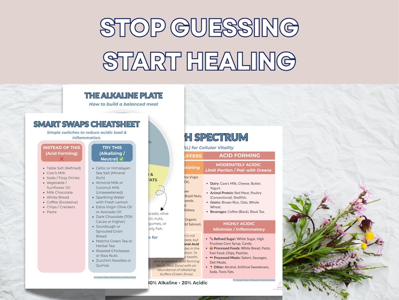 Alkaline Food Chart PDF – Metabolic Ph Guide, Acid Alkaline Diet - Etsy