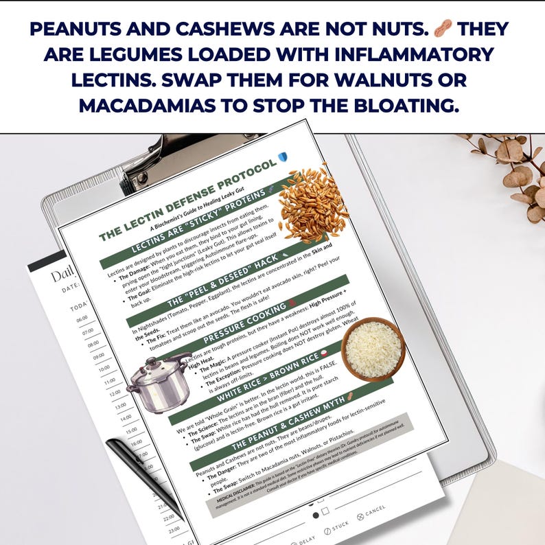 Low Lectin Food List Printable, Autoimmune Diet Guide, Leaky Gut Repair ...