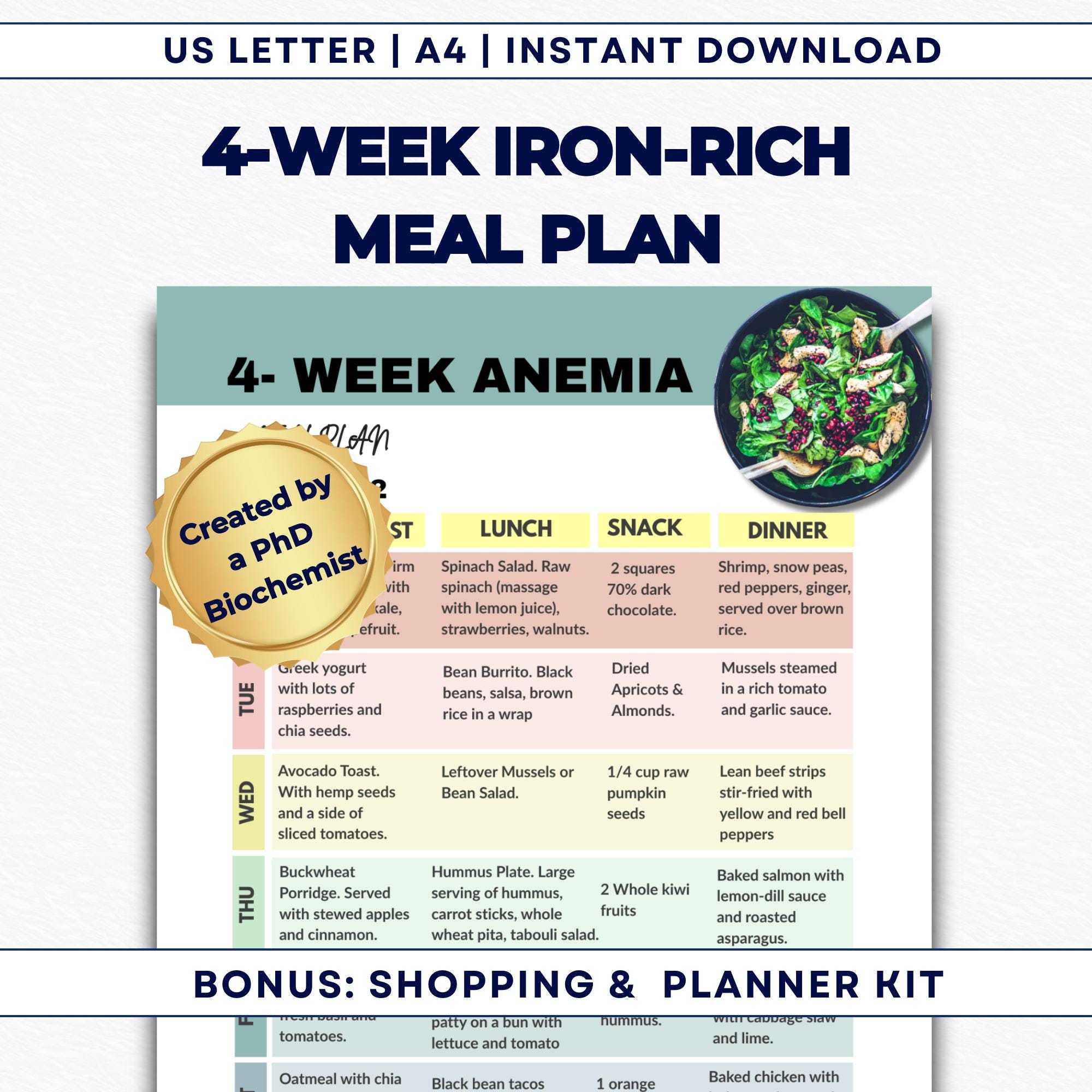 Anemia Meal Plan & Iron Rich Diet PDF – High Absorption Food List, Heme ...
