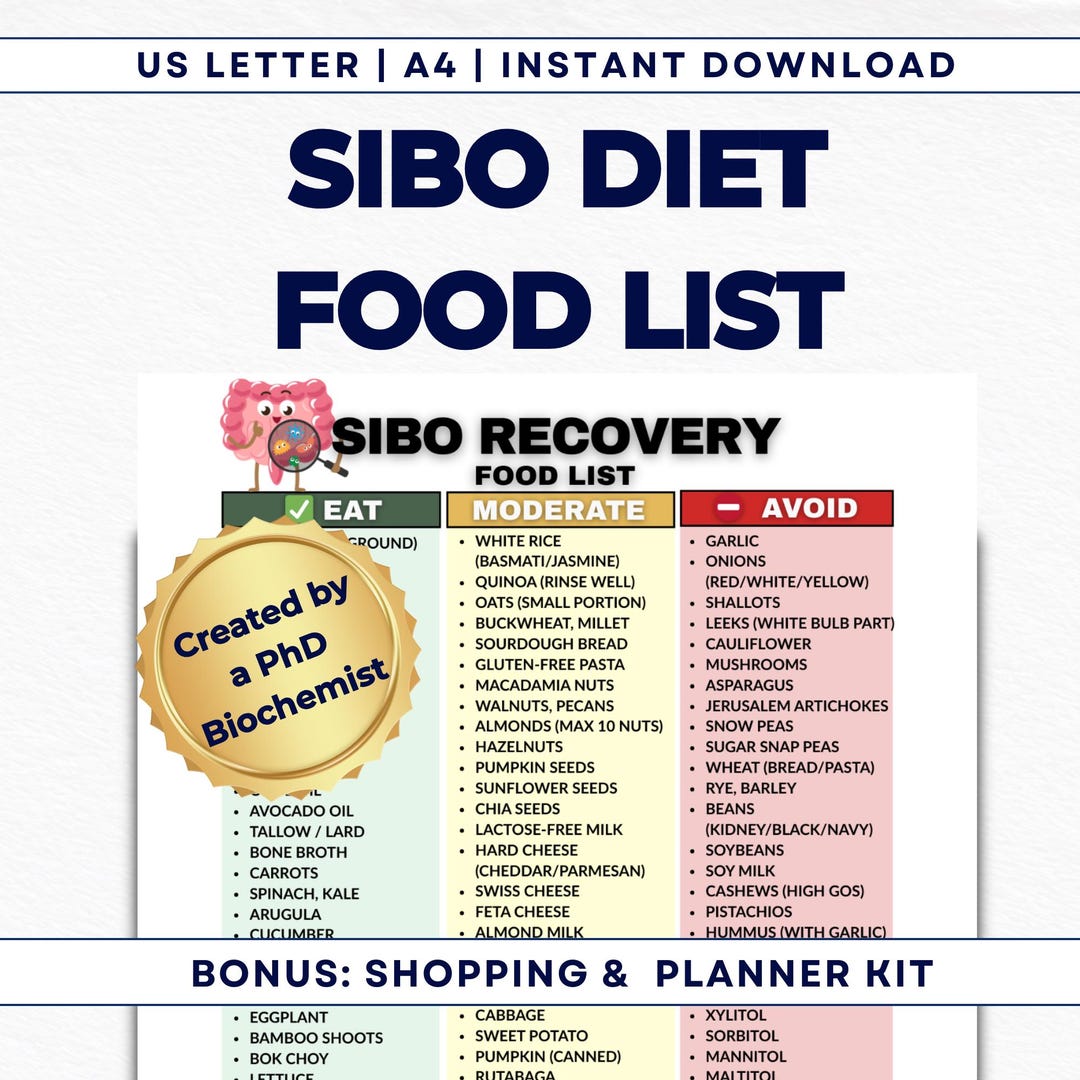 SIBO Diet Food List Pdf – Low Fermentation Guide, IBS & Gut Health, Low ...